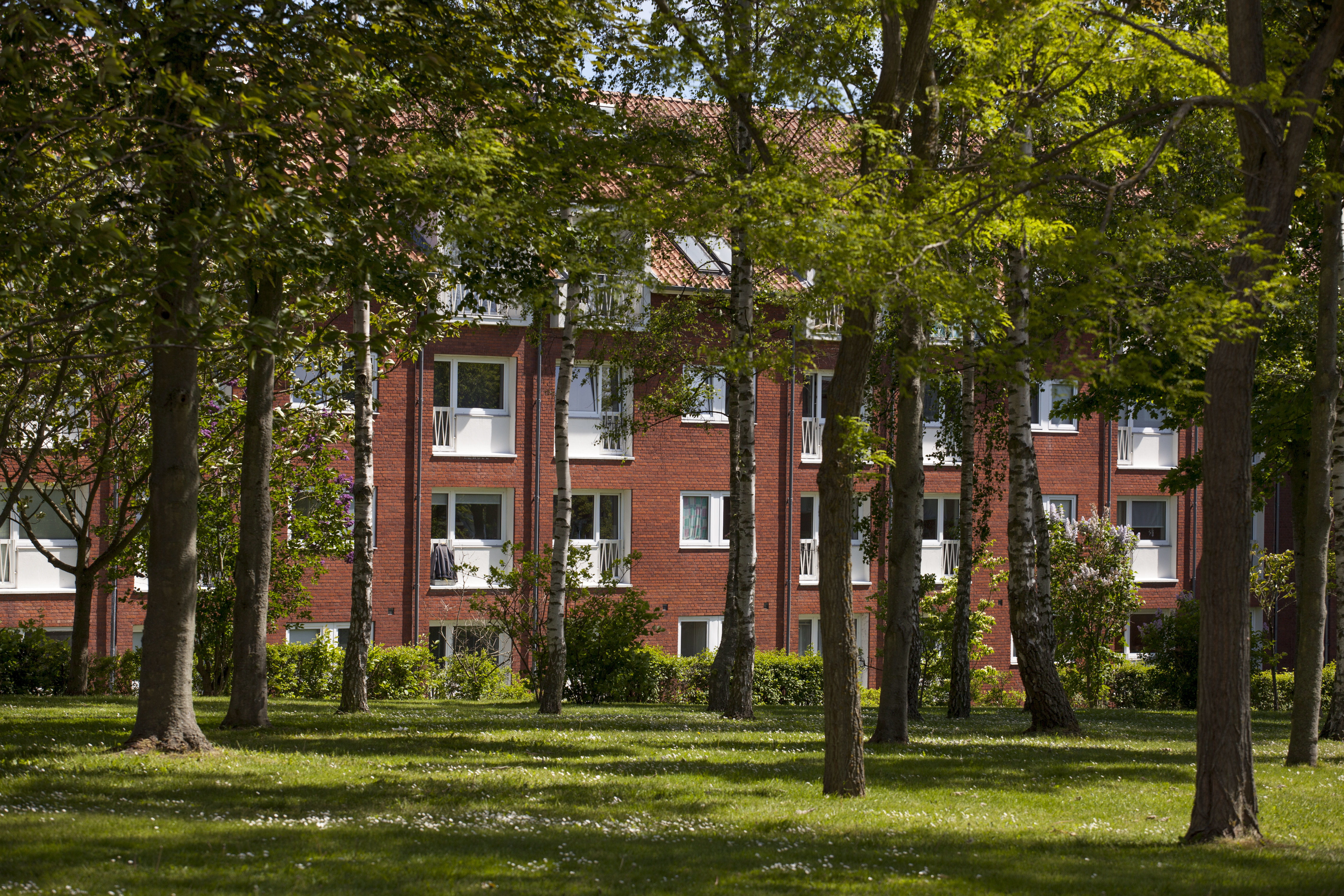 Fremtidssikring af ældre almene bebyggelser