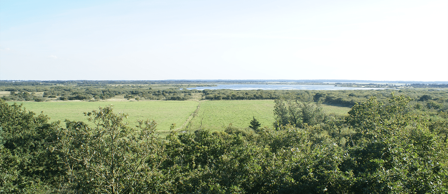 Strategiplan for Varde Kommune